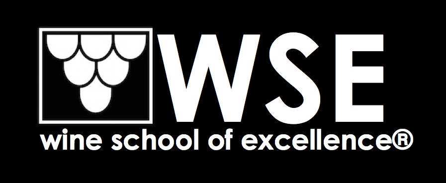 new WSE logo